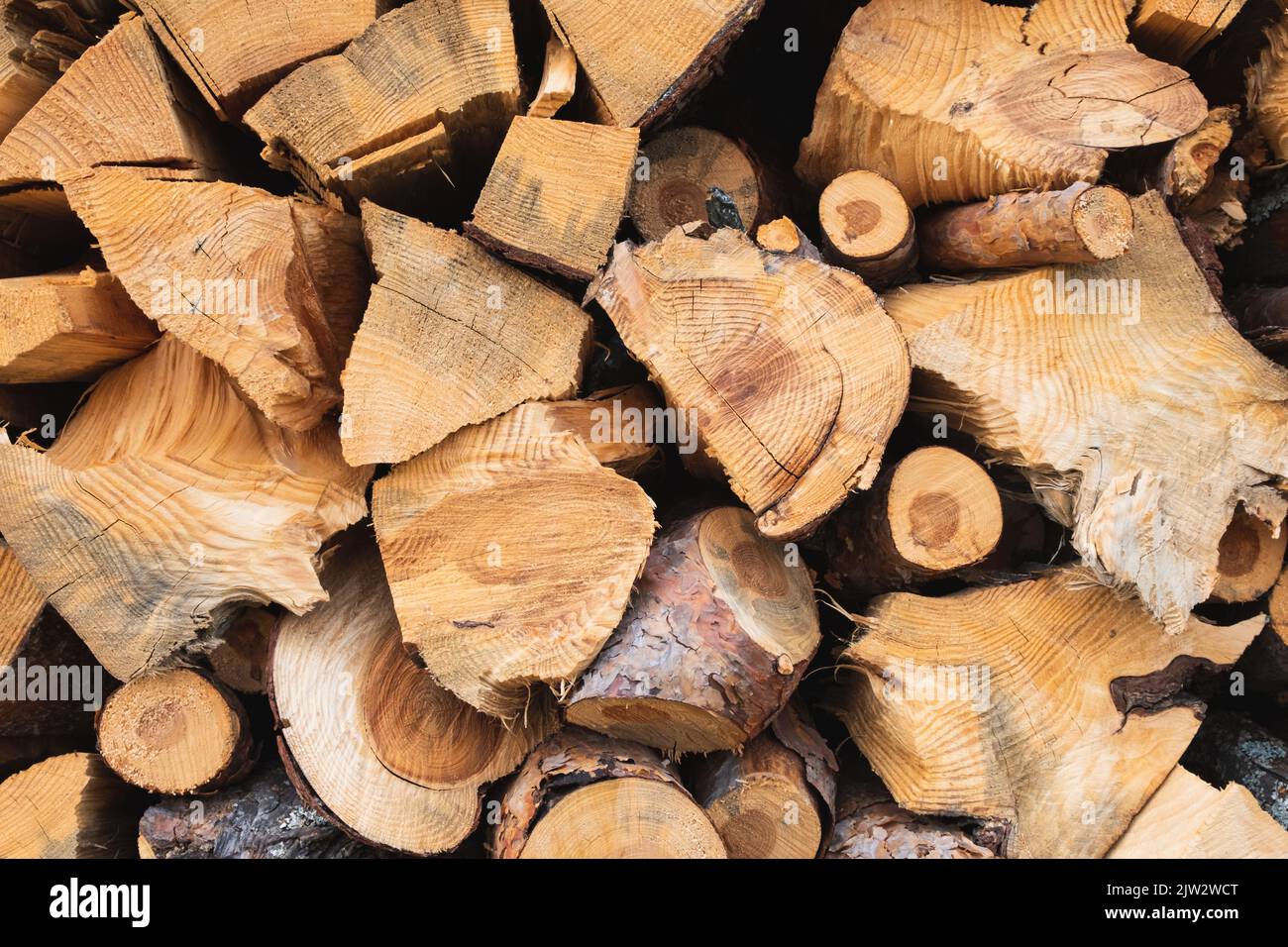 split wood backround Stock Photo - Alamy