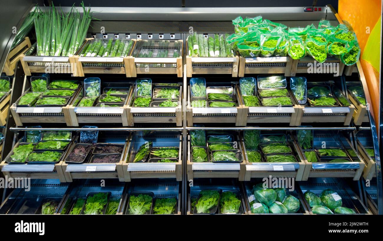 Spring Onions also known as Salad Onions, Scallions or Green Onions in ...