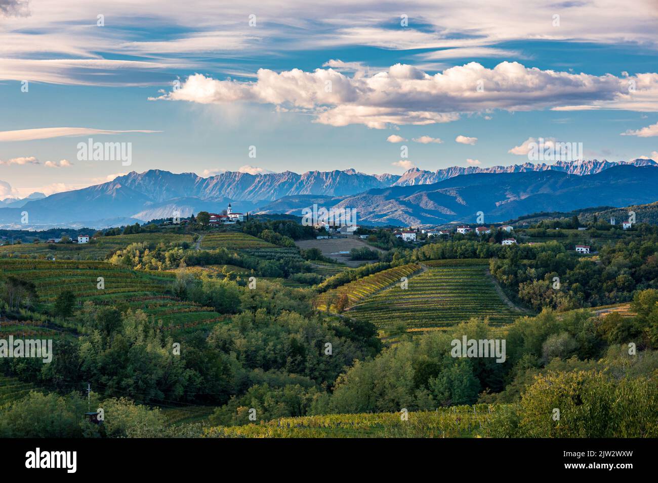 The sun goes down over the vineyards of Collio, Friuli Venezia Giulia ...