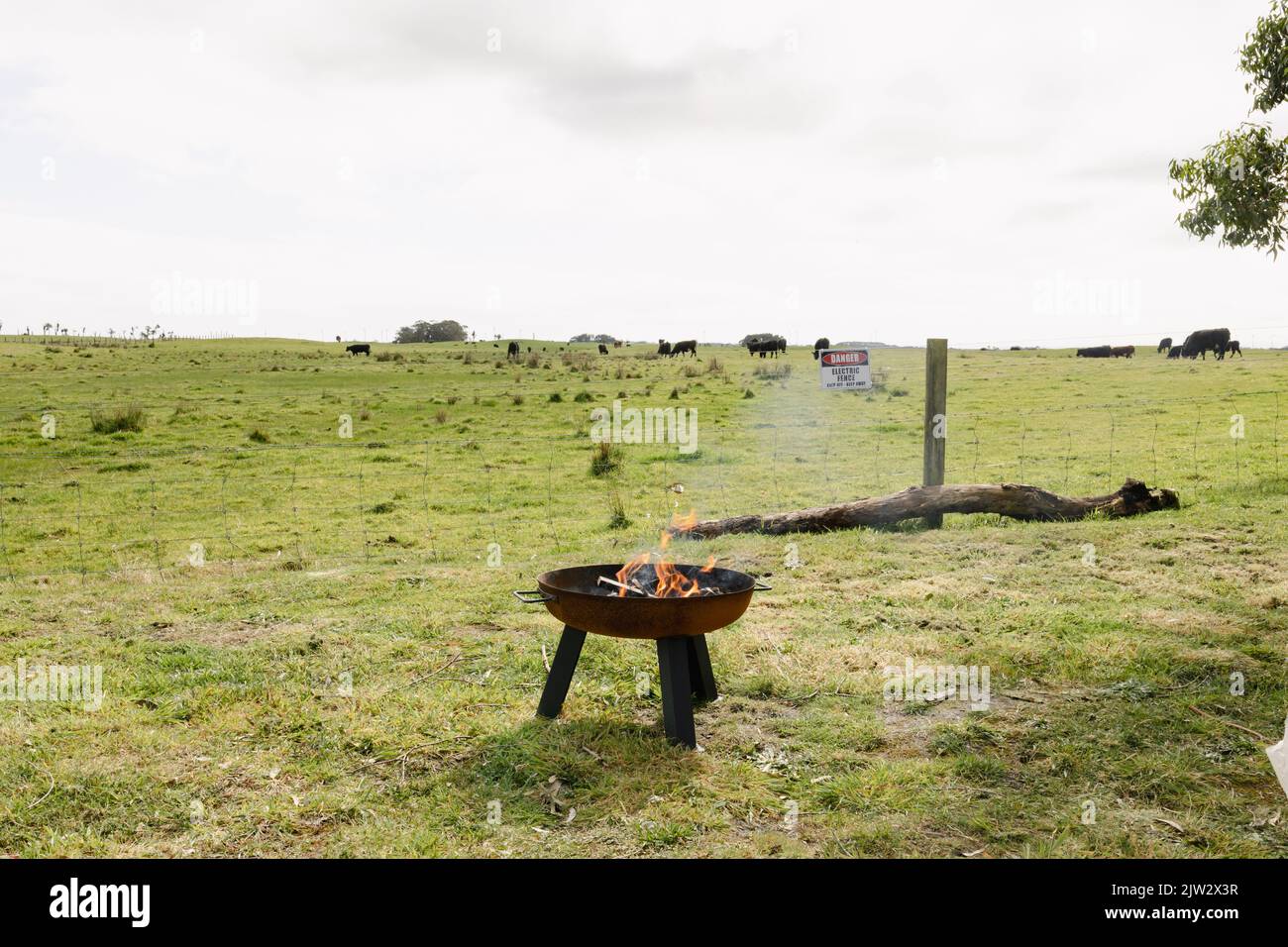 A fire pit on a farm lit with a small fire and eco recycled wood you ...