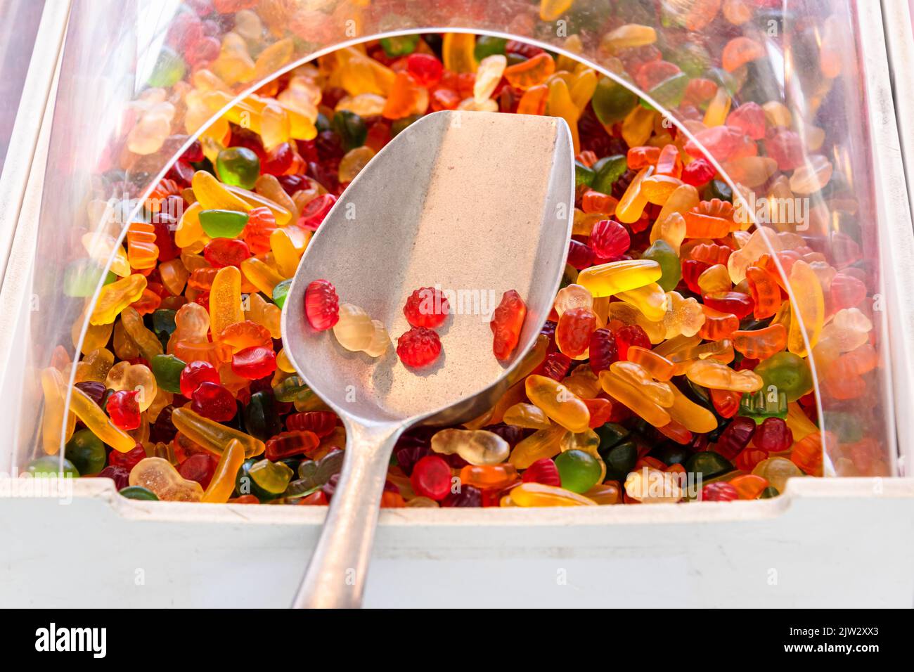 Candy sweets jelly, sweet chewy candies in different shapes at candy ...