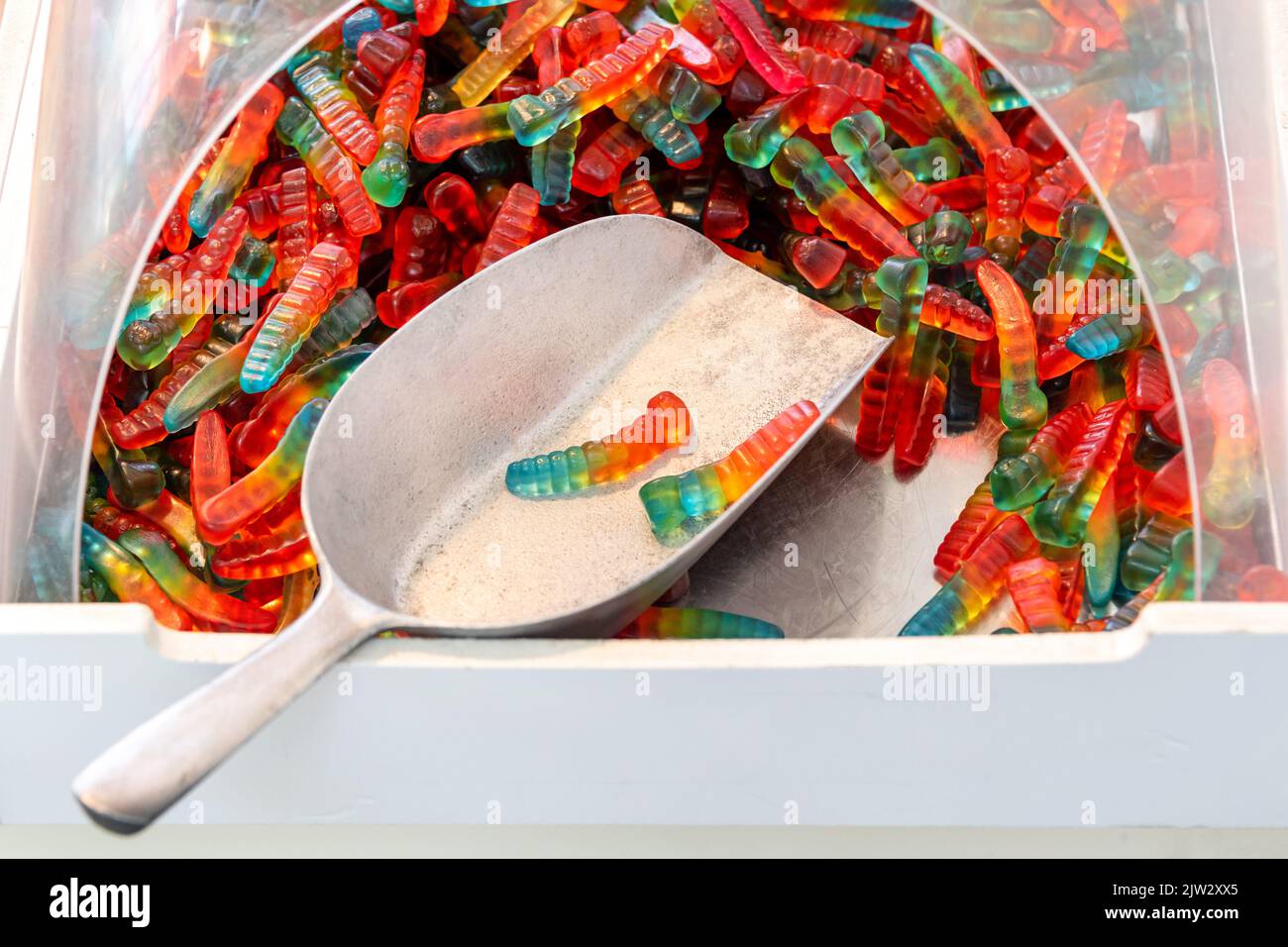 Candy sweets jelly, sweet chewy candies in form of worms at candy shop ...