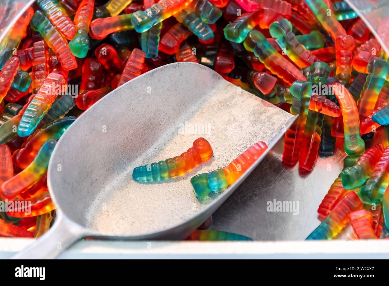 Candy sweets jelly, sweet chewy candies in form of worms at candy shop ...