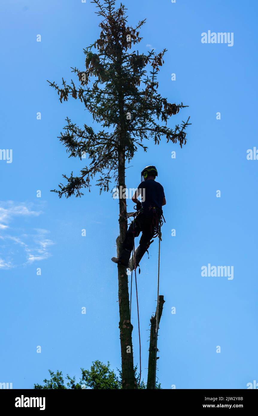 Woodland workers hi-res stock photography and images - Alamy