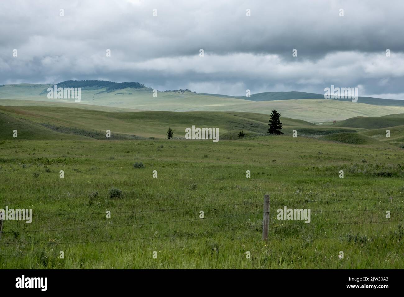 Landscape of gigantic plains and hills of Alberta in Canada Stock Photo ...