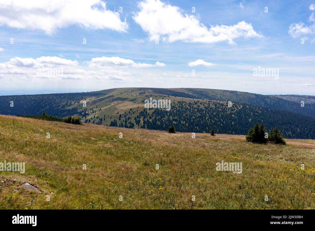 Praded is the highest mountain 1491 metres of Hruby Jesenik. (CTK Photo ...