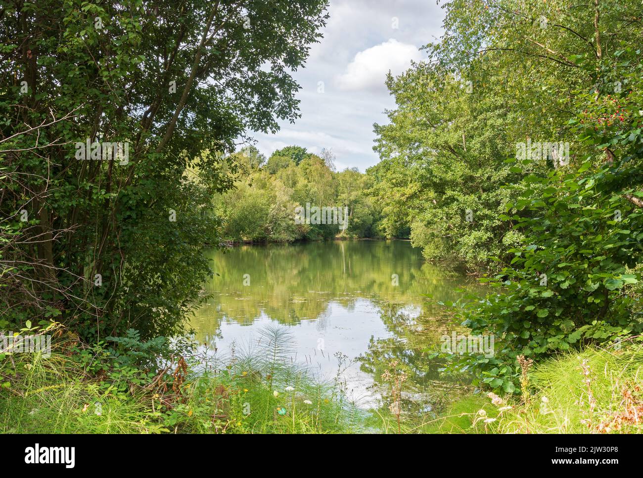 Swanwick Lakes, Swanwick, Hampshire, UK Stock Photo - Alamy