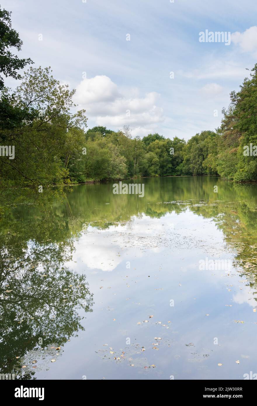 Swanwick lake hi-res stock photography and images - Alamy