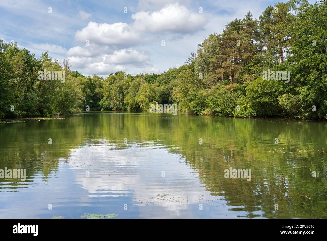 Swanwick lake hi-res stock photography and images - Alamy