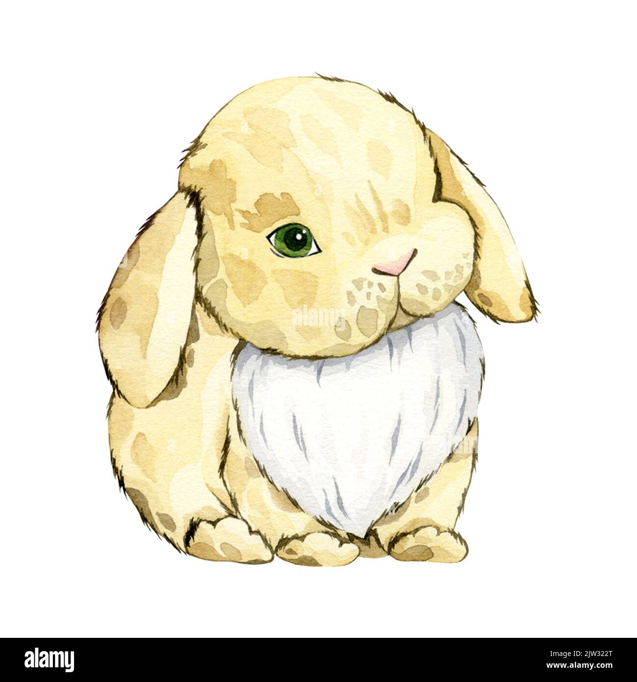 Watercolor cute bunny clipart. Hand drawn Christmas bunny illustration ...