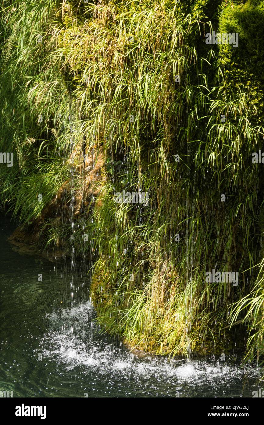 Waterfall splashing down between the reeds from the rocks in a pool in ...