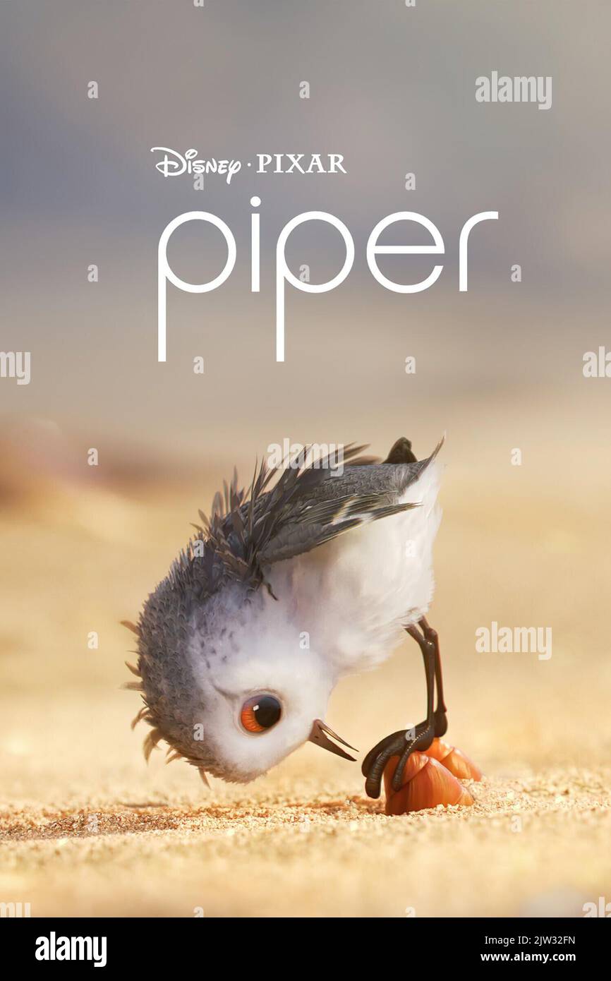 PIPER, directed by ALAN BARILLARO. Credit: PIXAR ANIMATION STUDIOS ...