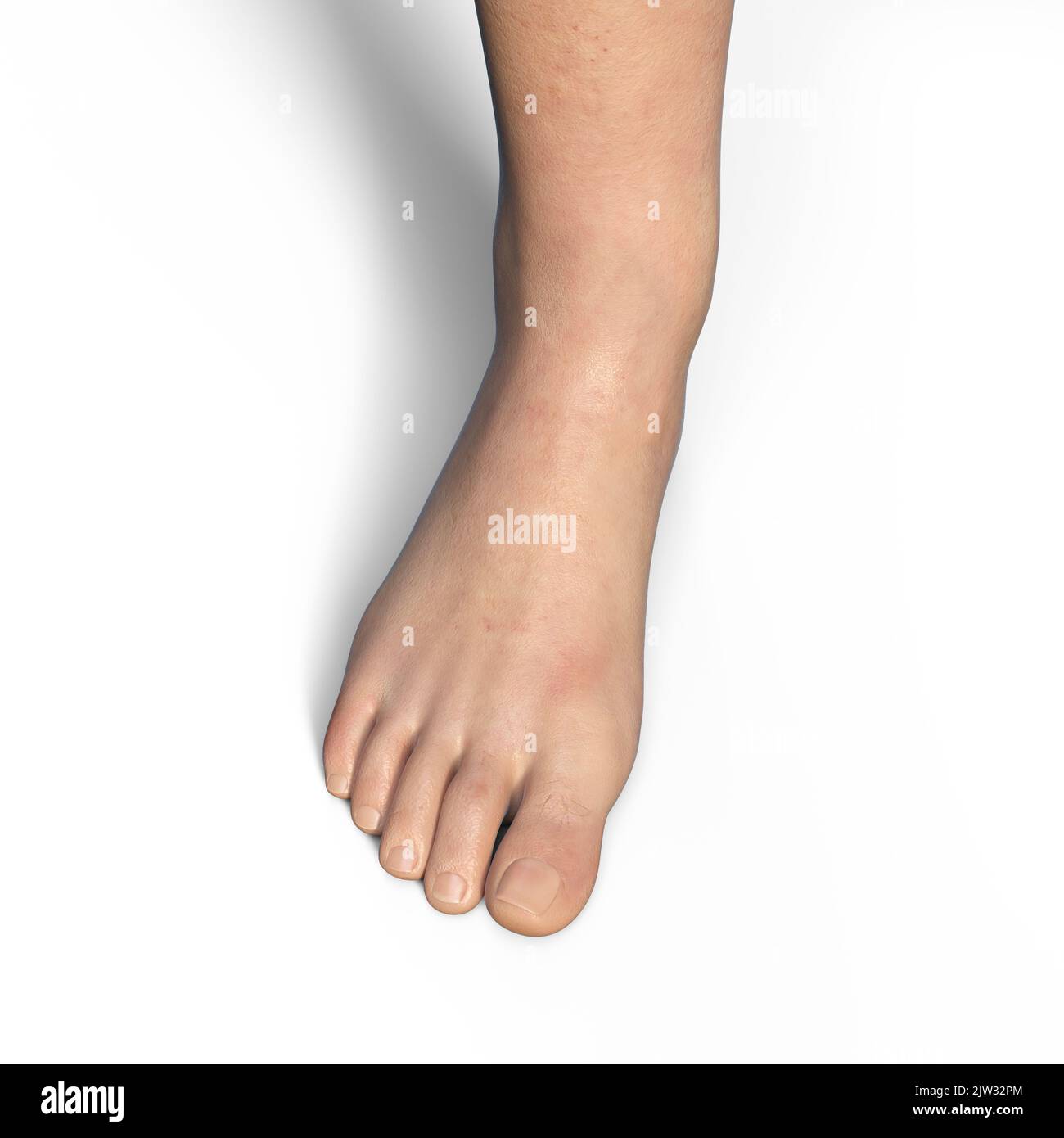 Human middle-age female foot, illustration Stock Photo - Alamy