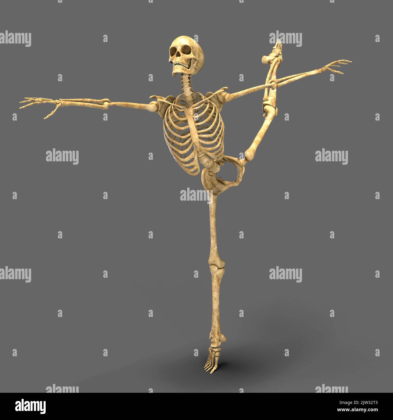 Dancing skeleton, illustration. A human skeleton in a ballet pose Stock ...