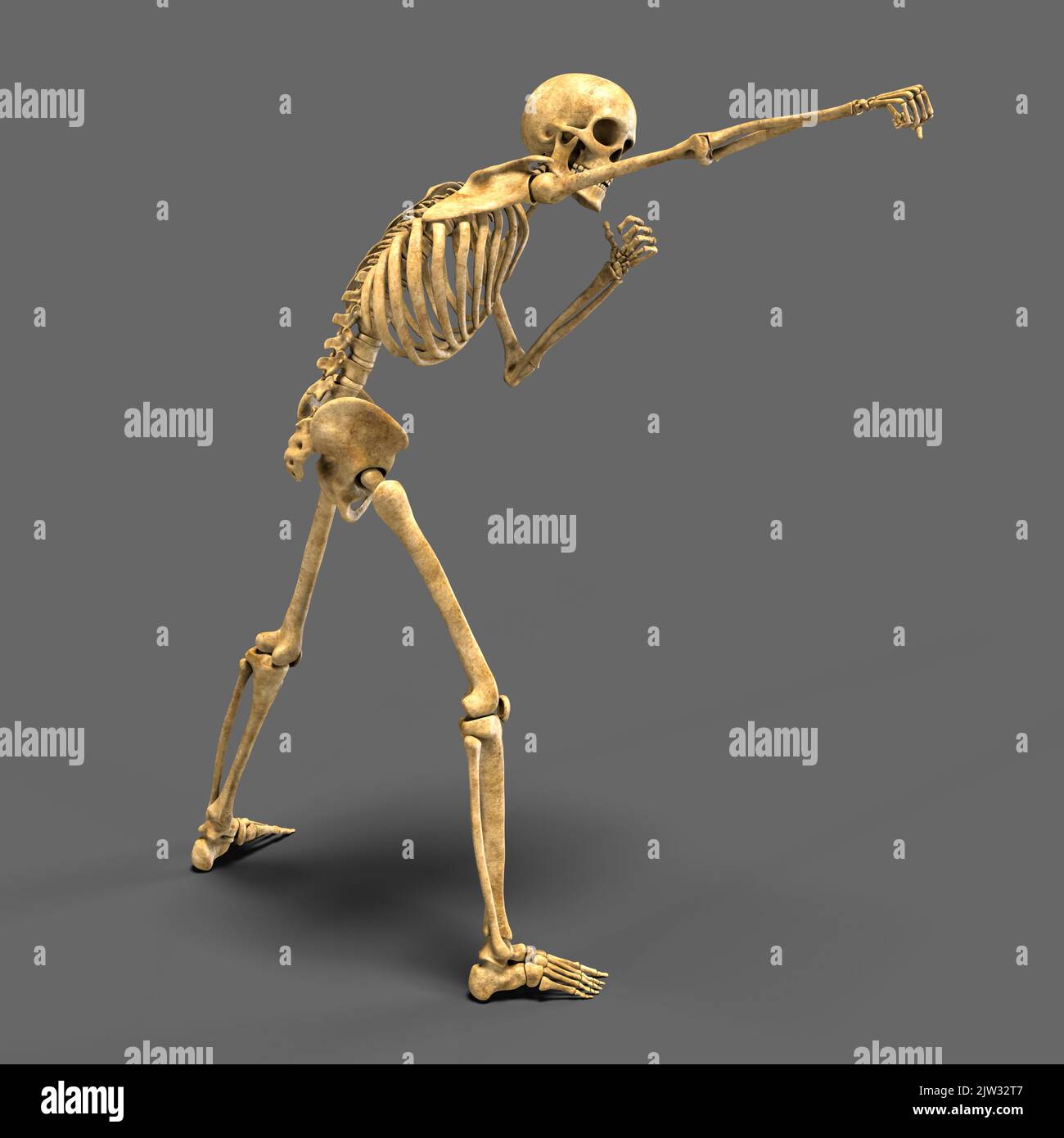 Skeleton boxing, illustration. Human skeleton in a boxing position ...