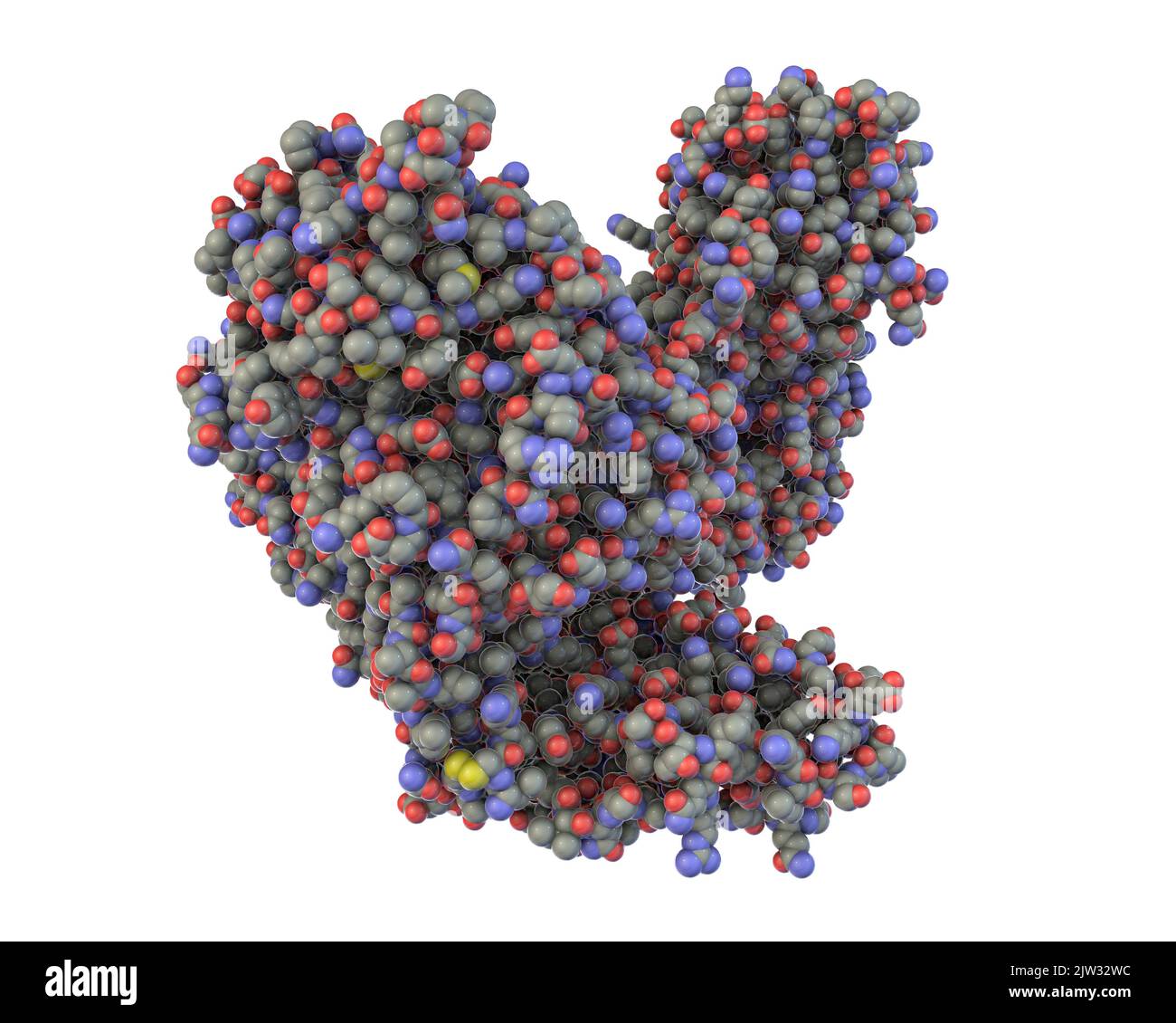 Molecule of tetanus neurotoxin, illustration. This is a neurotoxin ...