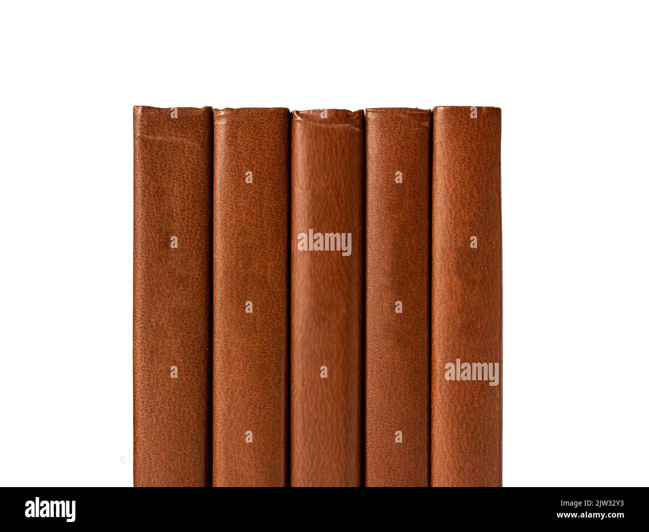 Books row in brown cover isolated on white background. Classic ...