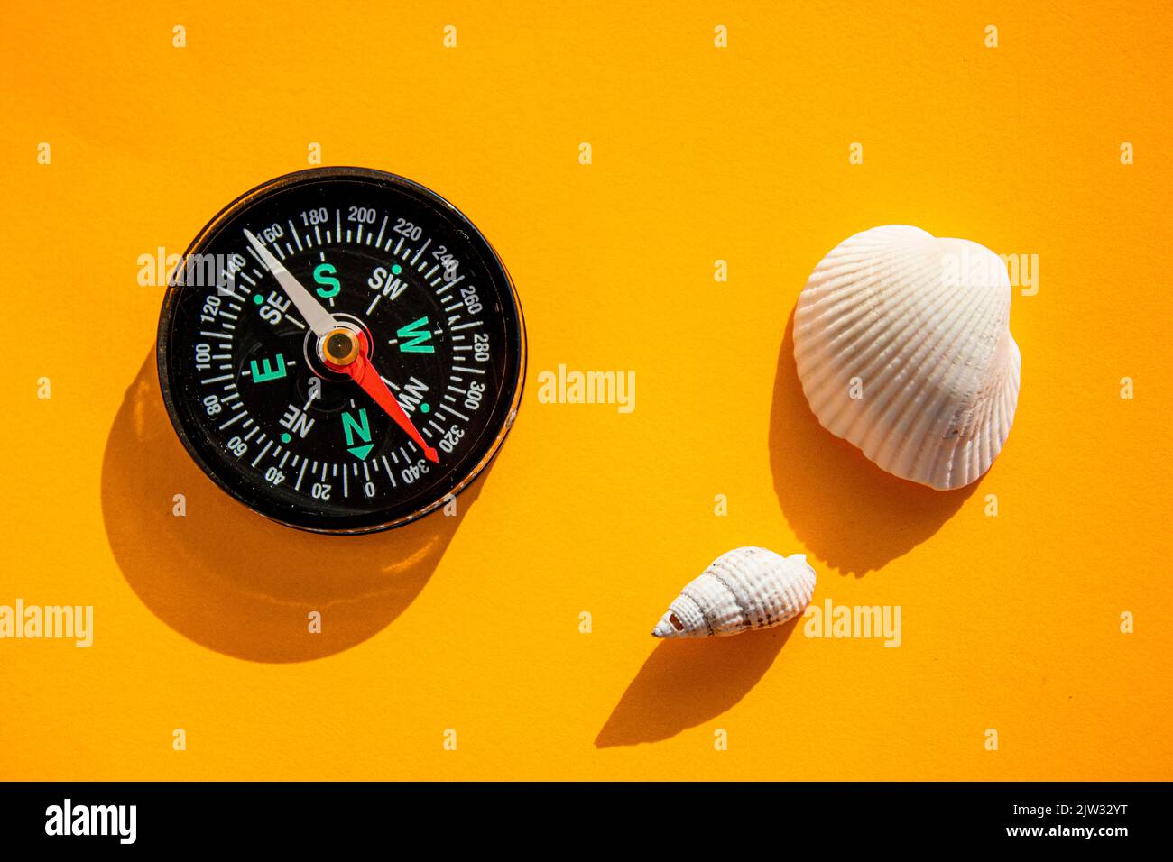 Compass. Sea shells and orange background Stock Photo - Alamy