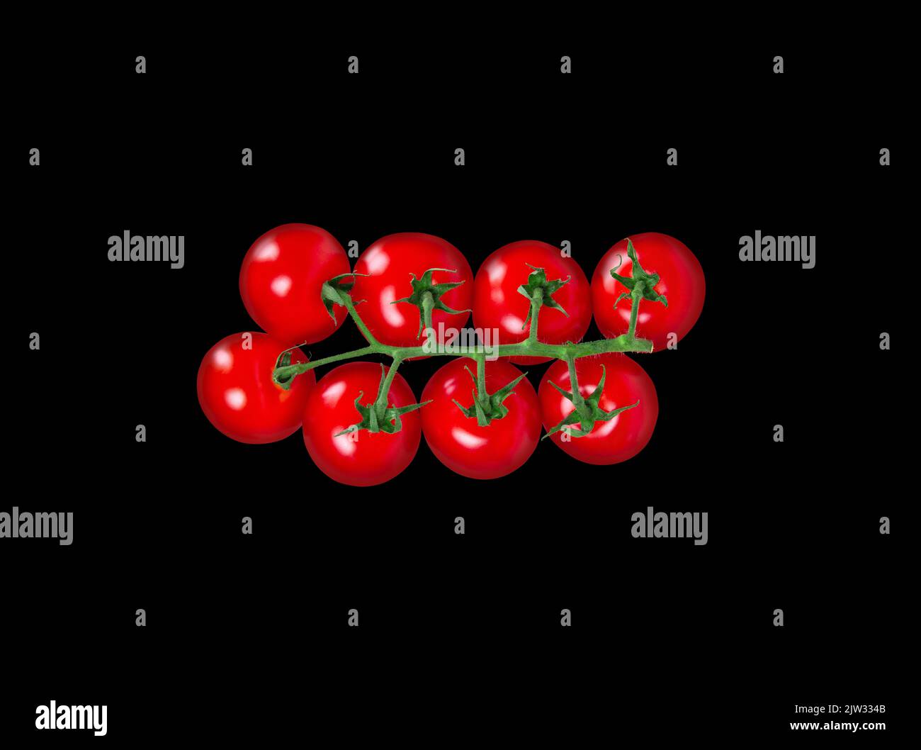 Tomato branch isolated on black background. Top view with clipping path ...