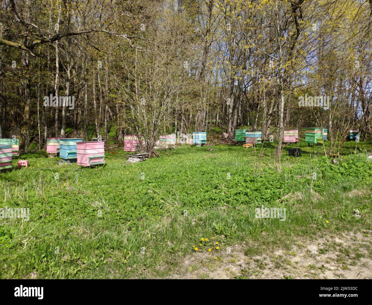 Colorful hives in forest hi-res stock photography and images - Alamy