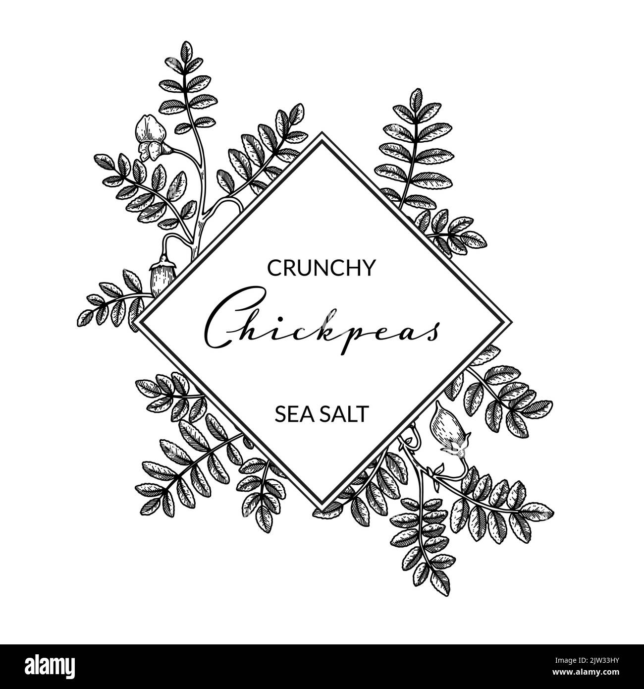 Hand drawn chickpeas botany frame. Vector illustration in sketch style ...
