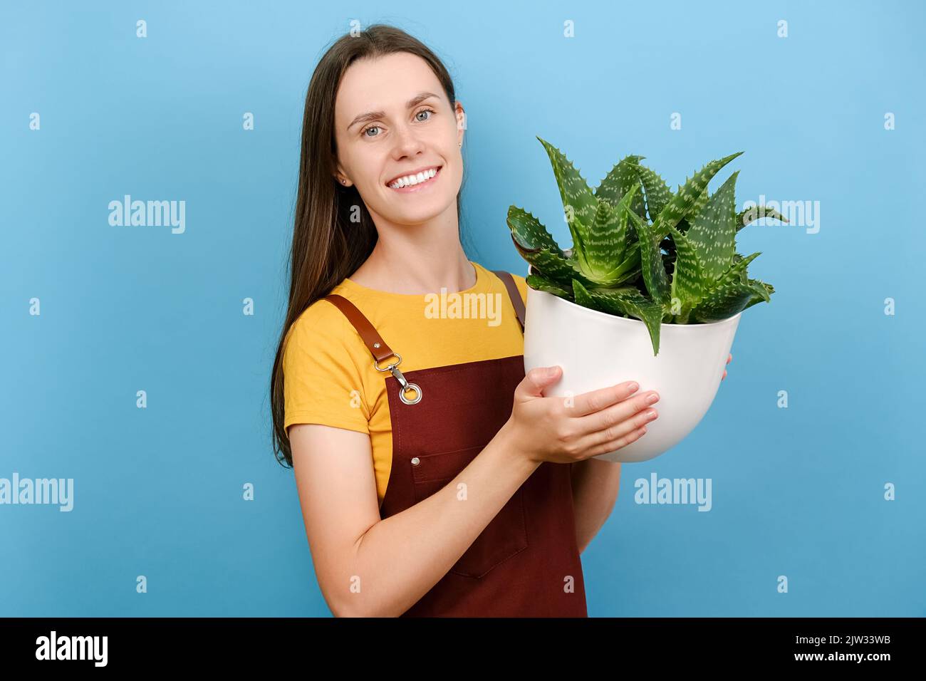Cheerful smiling young brunette woman plant lover cares about ...