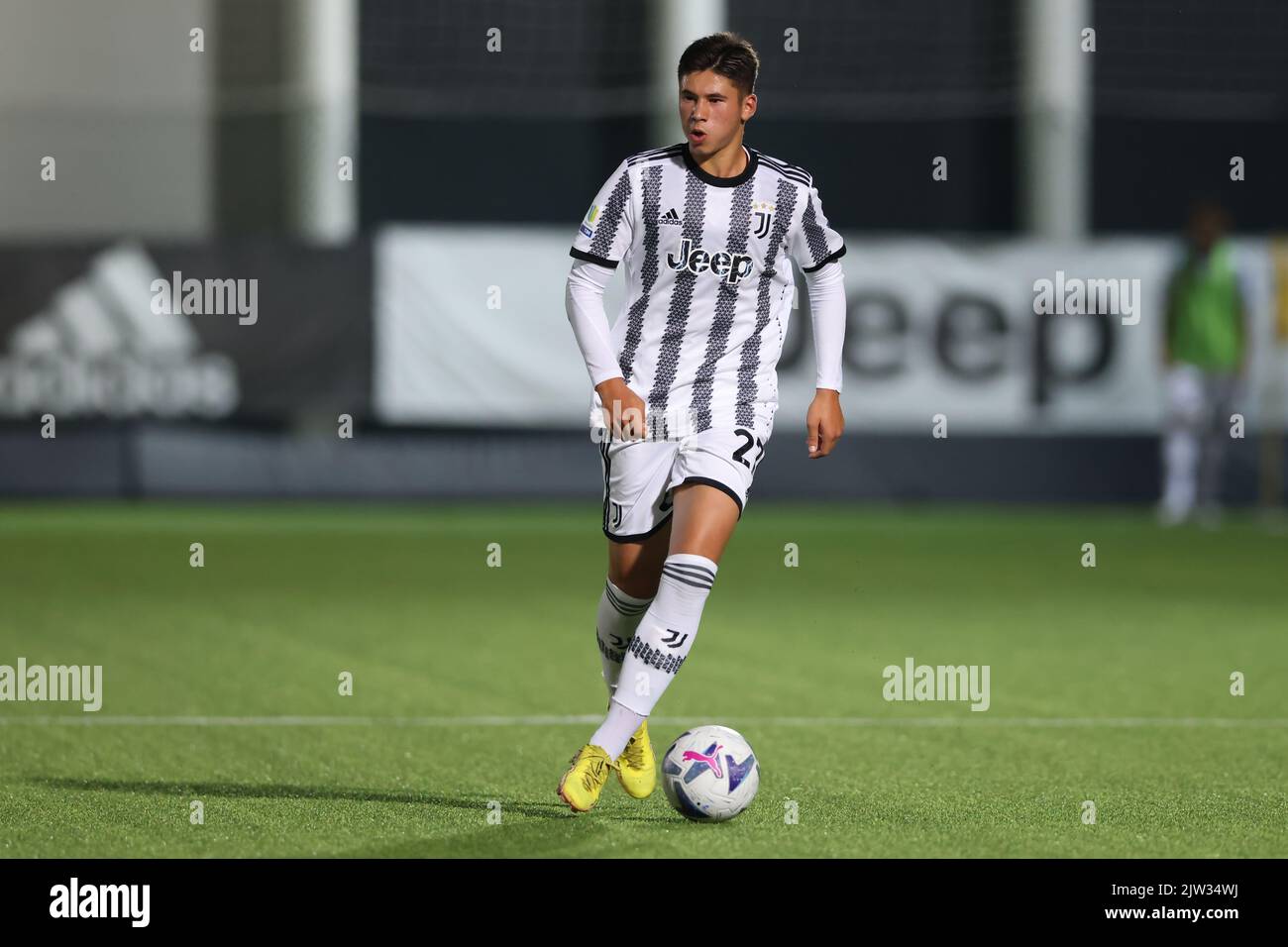 Moruzzi hi-res stock photography and images - Alamy