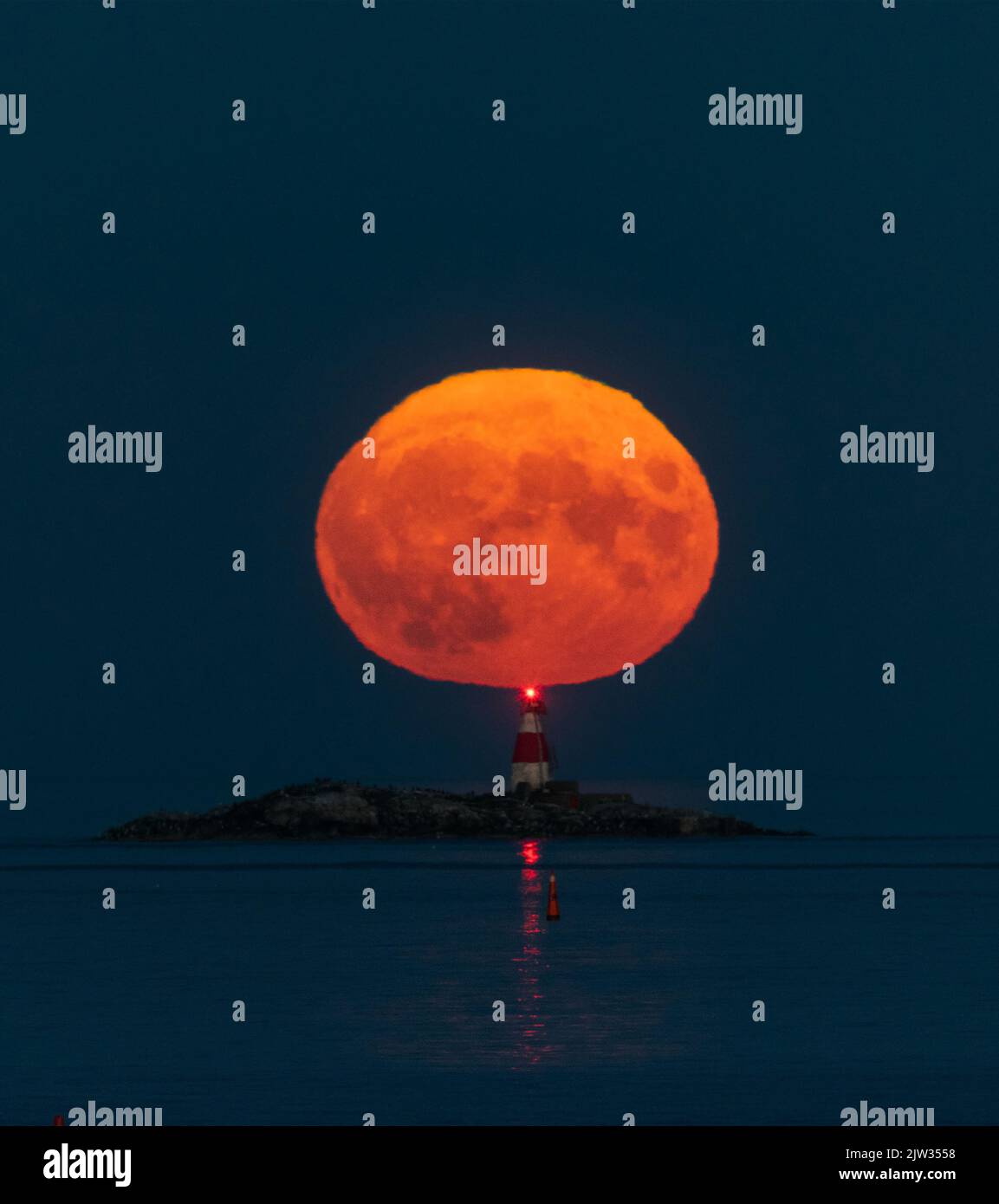 August 2022 Supermoon sitting on top of Muglins Lighthouse Stock Photo ...