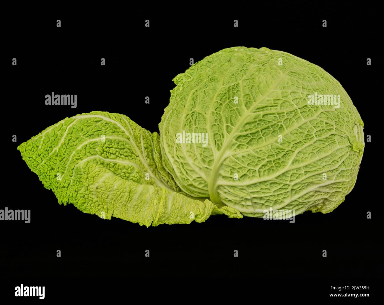 green cabbage leaf as background texture for artists Stock Photo - Alamy