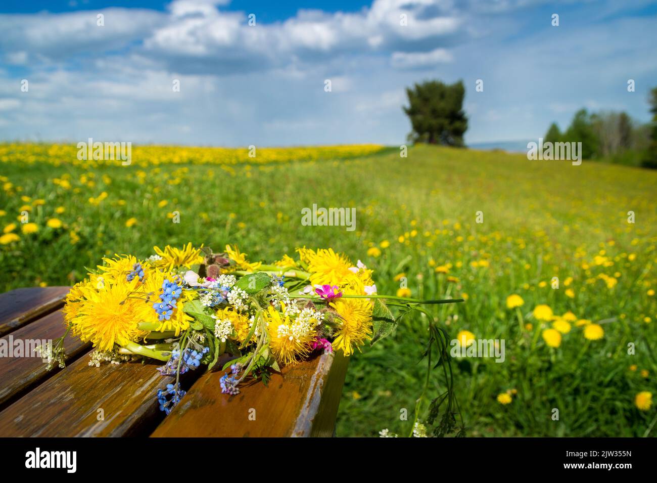 A beautiful view of a flower crown also known as a vinok against a ...