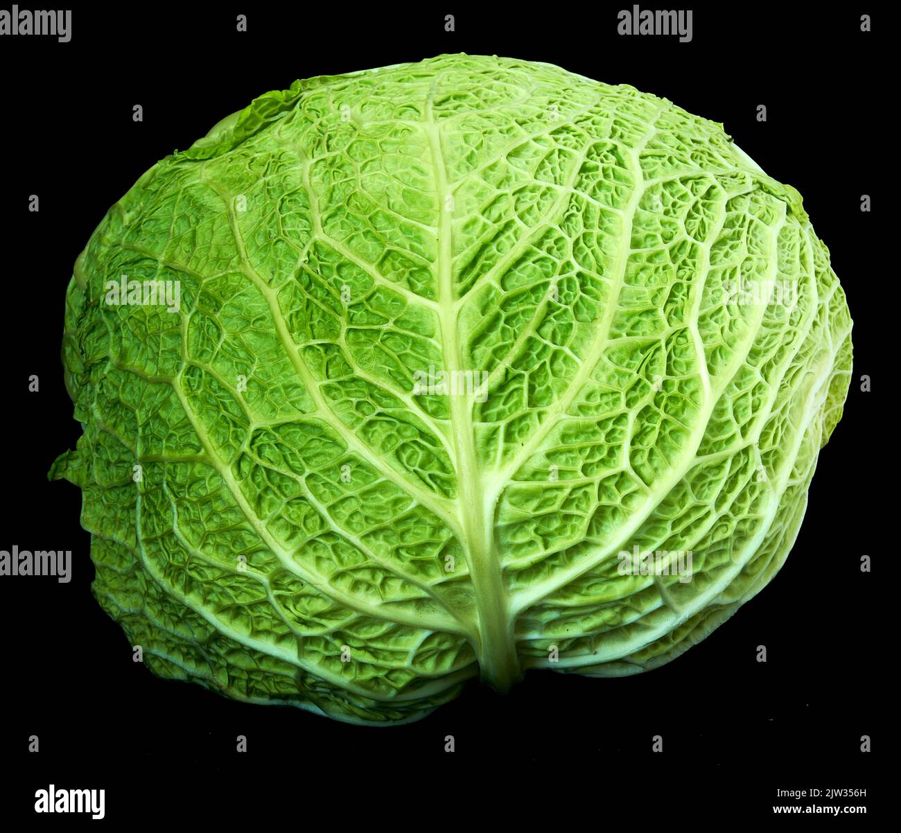 green cabbage leaf as background texture for artists Stock Photo - Alamy