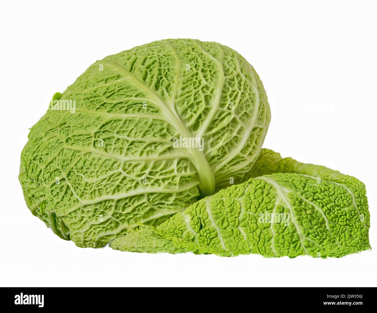 green cabbage leaf as background texture for artists Stock Photo - Alamy