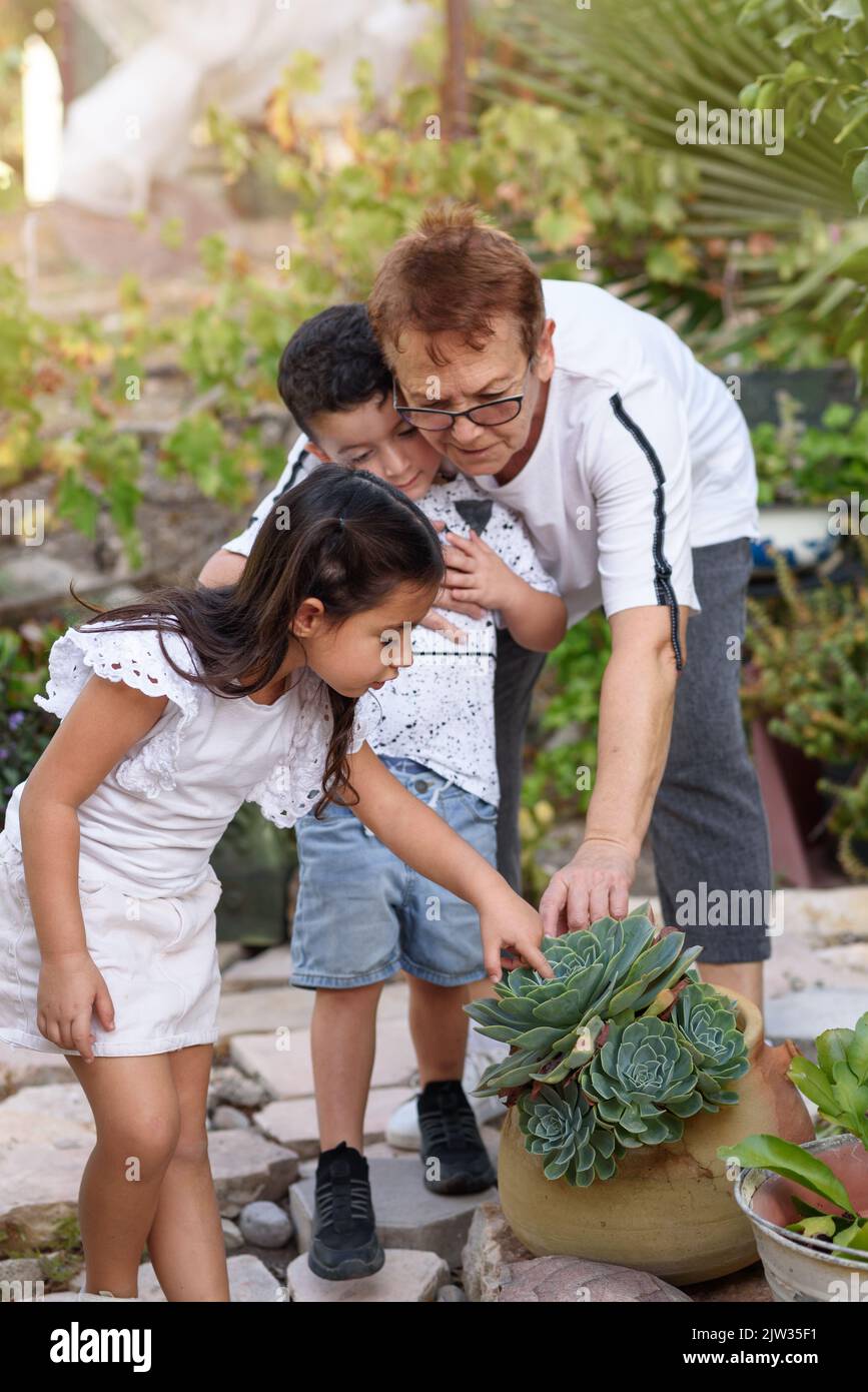 Two Kids Help Their Grandmother Care Plants In Backyard. Family In ...