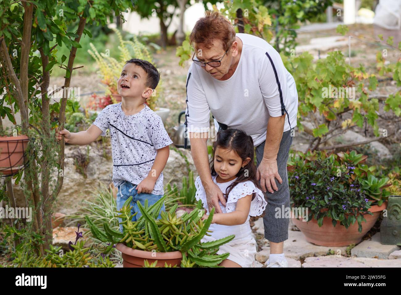 Two Kids Help Their Grandmother Care Local Garden. A Family In A Garden ...