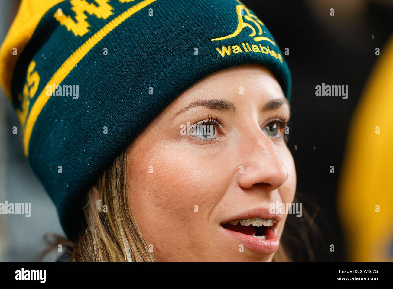 Springbok rugby fans stadium hi-res stock photography and images - Alamy
