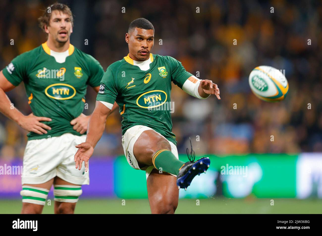Damian willemse springboks hi-res stock photography and images - Alamy