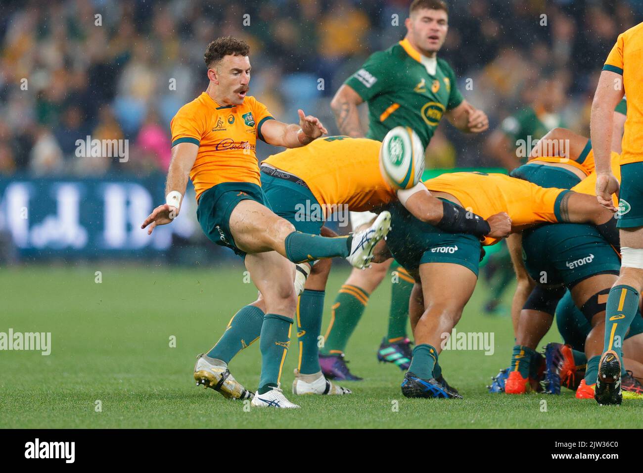 Sydney, Australia. 03rd Sep, 2022. Nick White of Wallabies kicks in ...