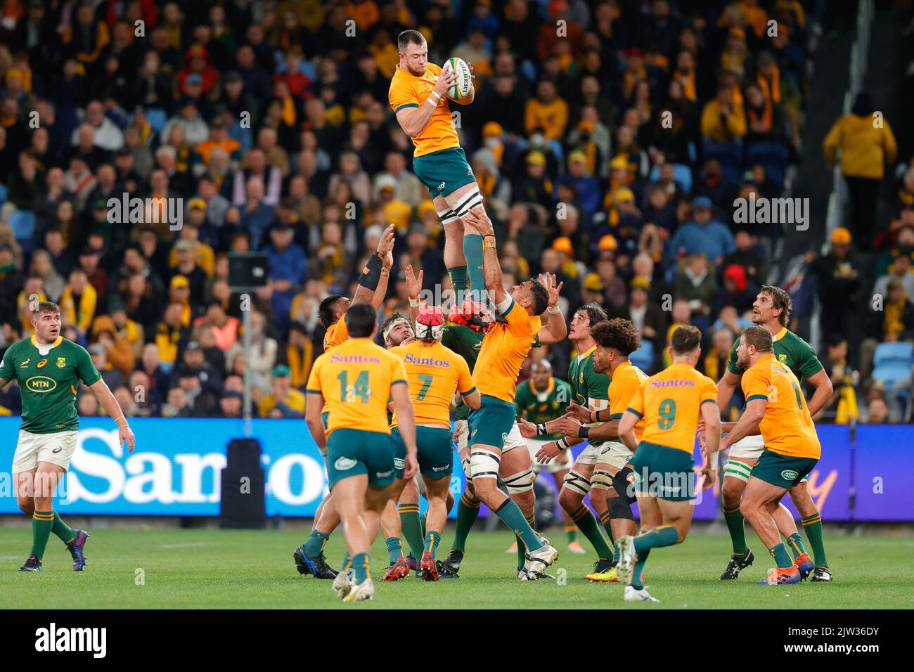 Sydney, Australia. 03rd Sep, 2022. Jed Holloway of Wallabies catches a ...