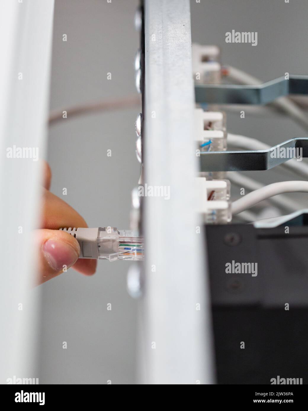 Establishing connection. Close up of technician connecting network cable to check server. Male ...