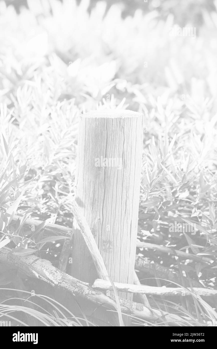 Wooden Fence Post Dimensions at Arnold Emerson blog