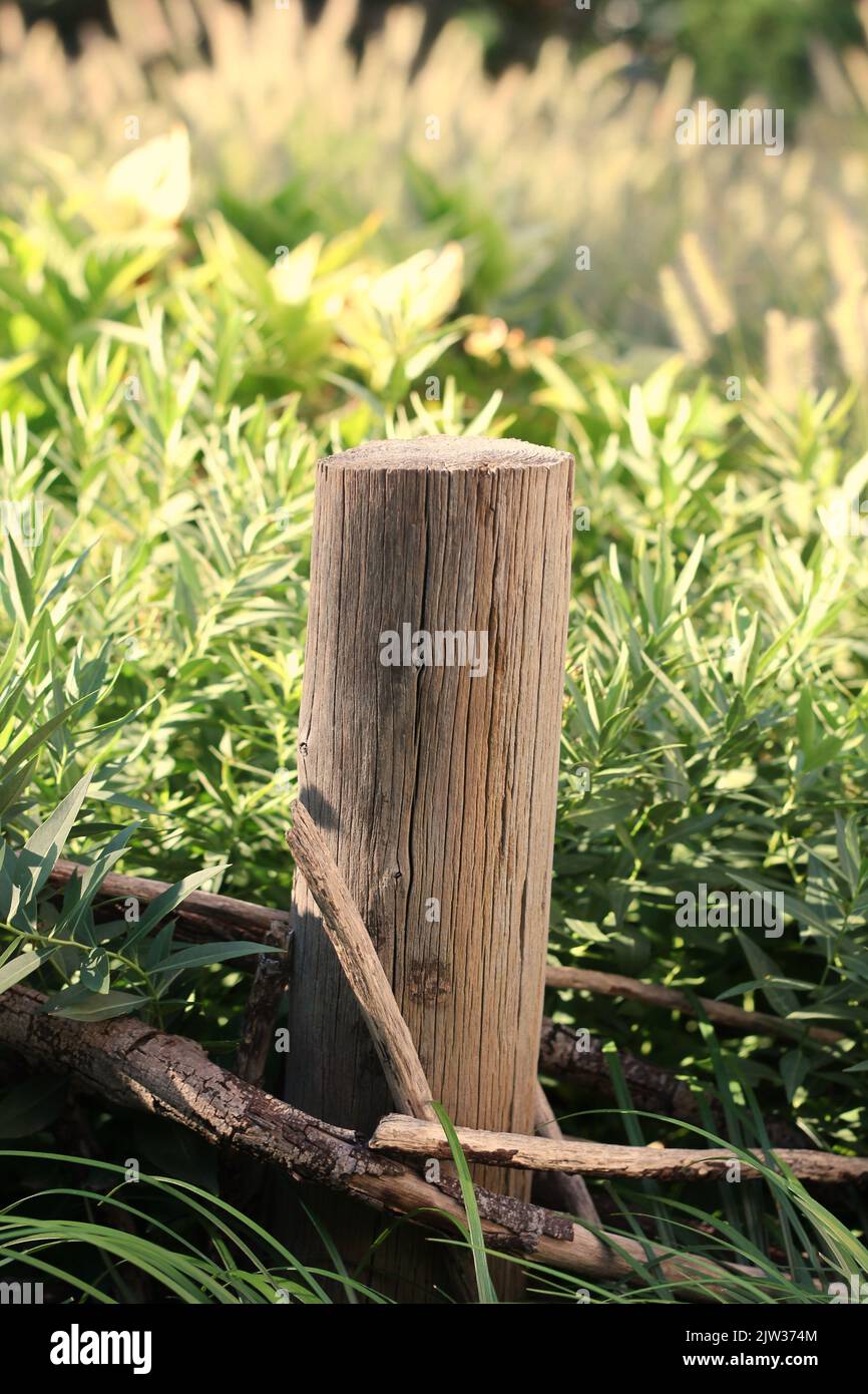 Standard typical wooden fence post standing in the meadow Stock Photo ...