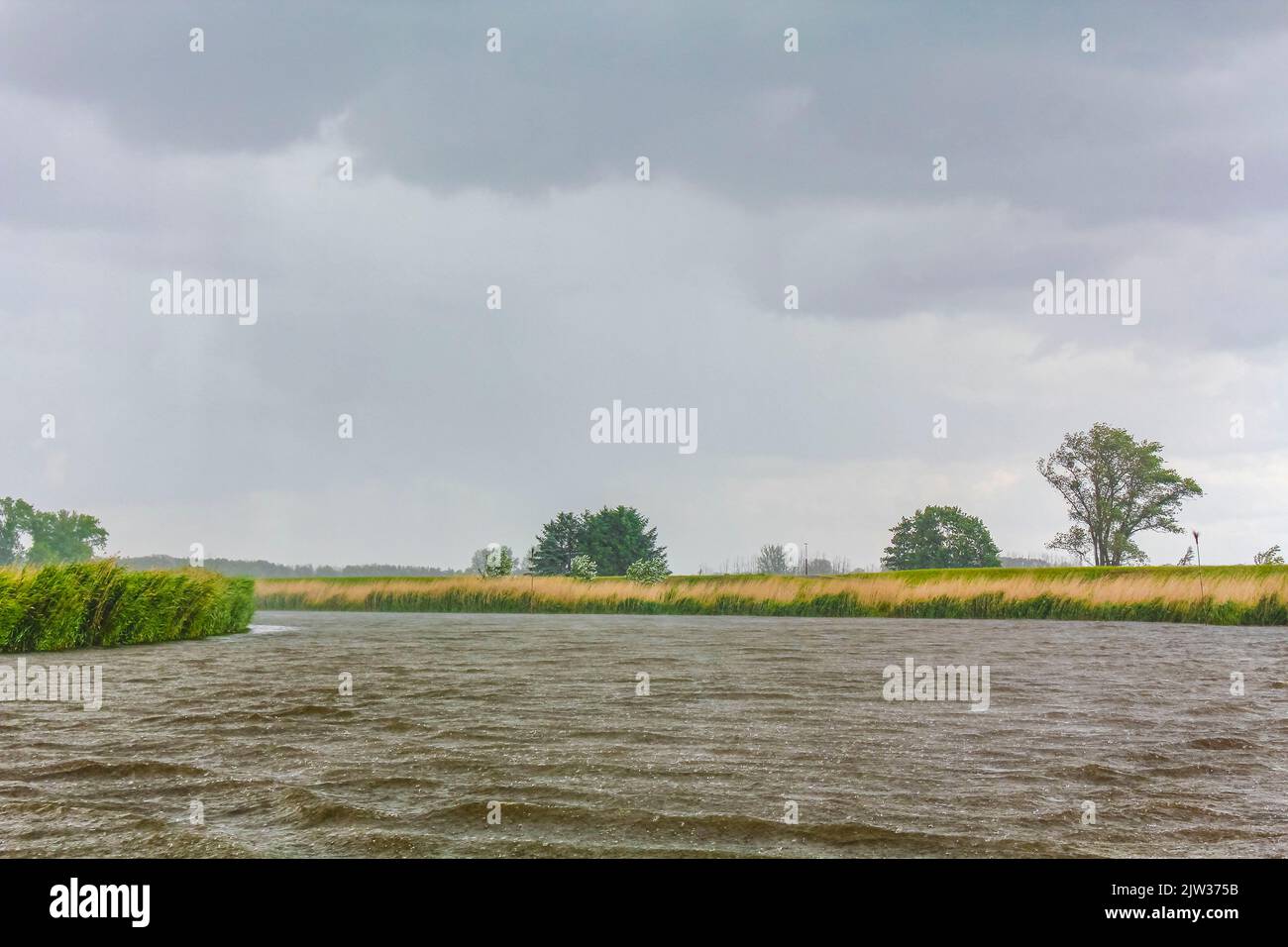 Heavy rain thunderstorm storm clouds wind in forest trees and water ...