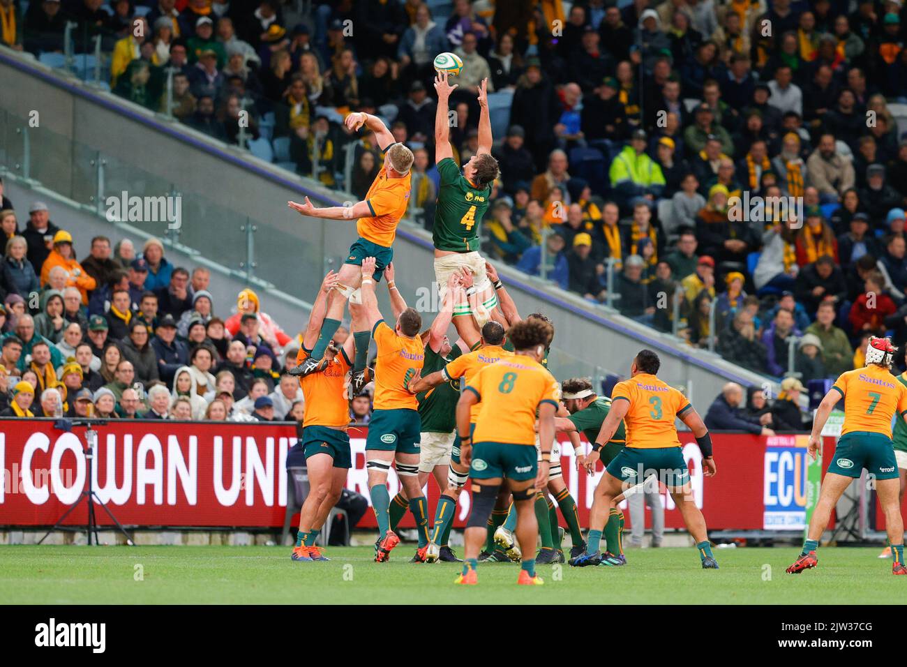 Sydney, Australia. 03rd Sep, 2022. Ebden Etzebeth of Springboks takes a ...