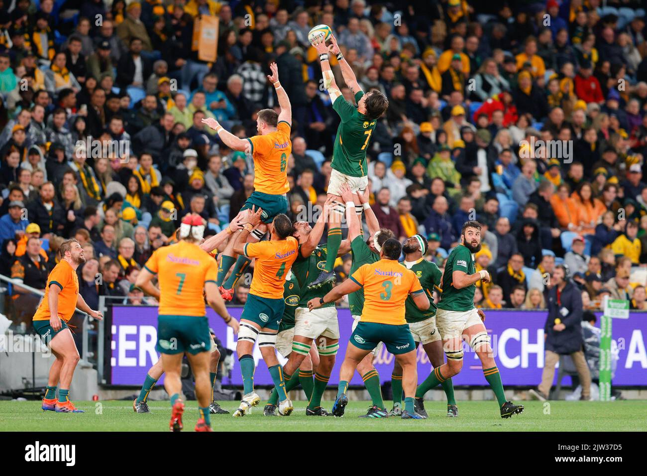 Sydney, Australia. 03rd Sep, 2022. Franco Mostert of Springboks catches ...