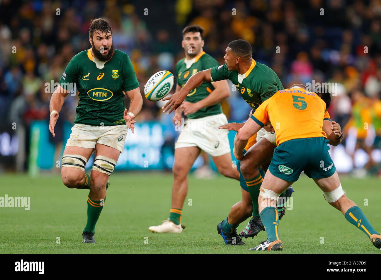 Willemse south africa hi-res stock photography and images - Alamy