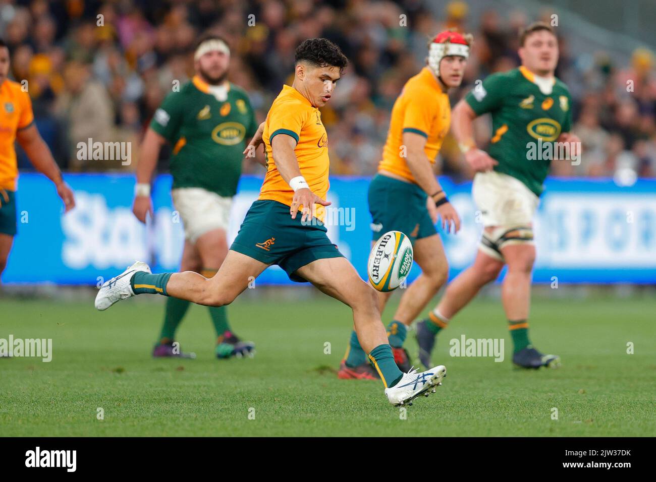 Springbok rugby player hi-res stock photography and images - Alamy