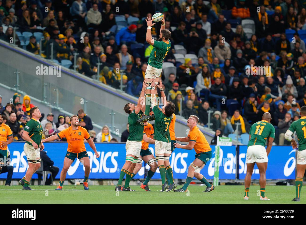 Sydney, Australia. 03rd Sep, 2022. Lood de Jager of Springboks takes a ...