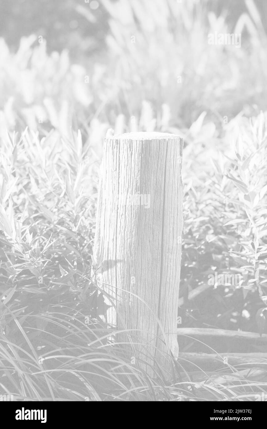 Standard typical wooden fence post standing in the meadow in a faded ...