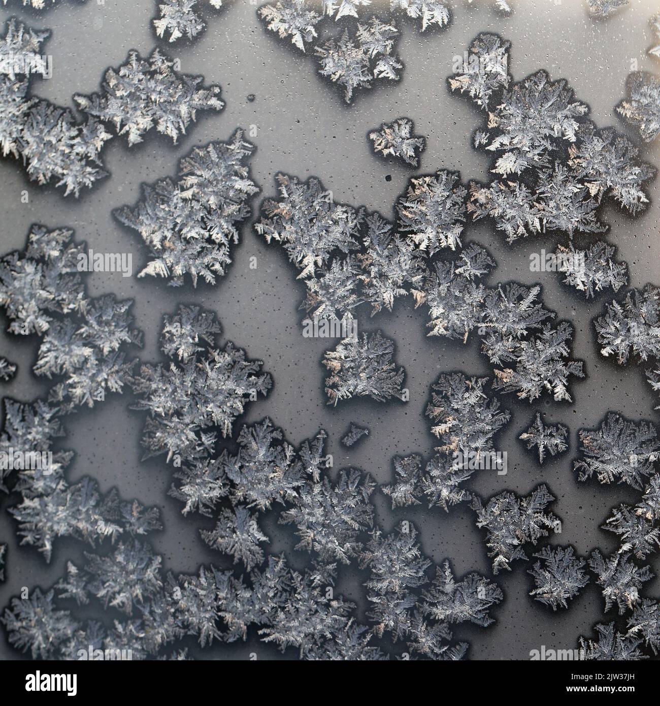 Ice crystals on the surface of a frozen glass during a cold winter day ...