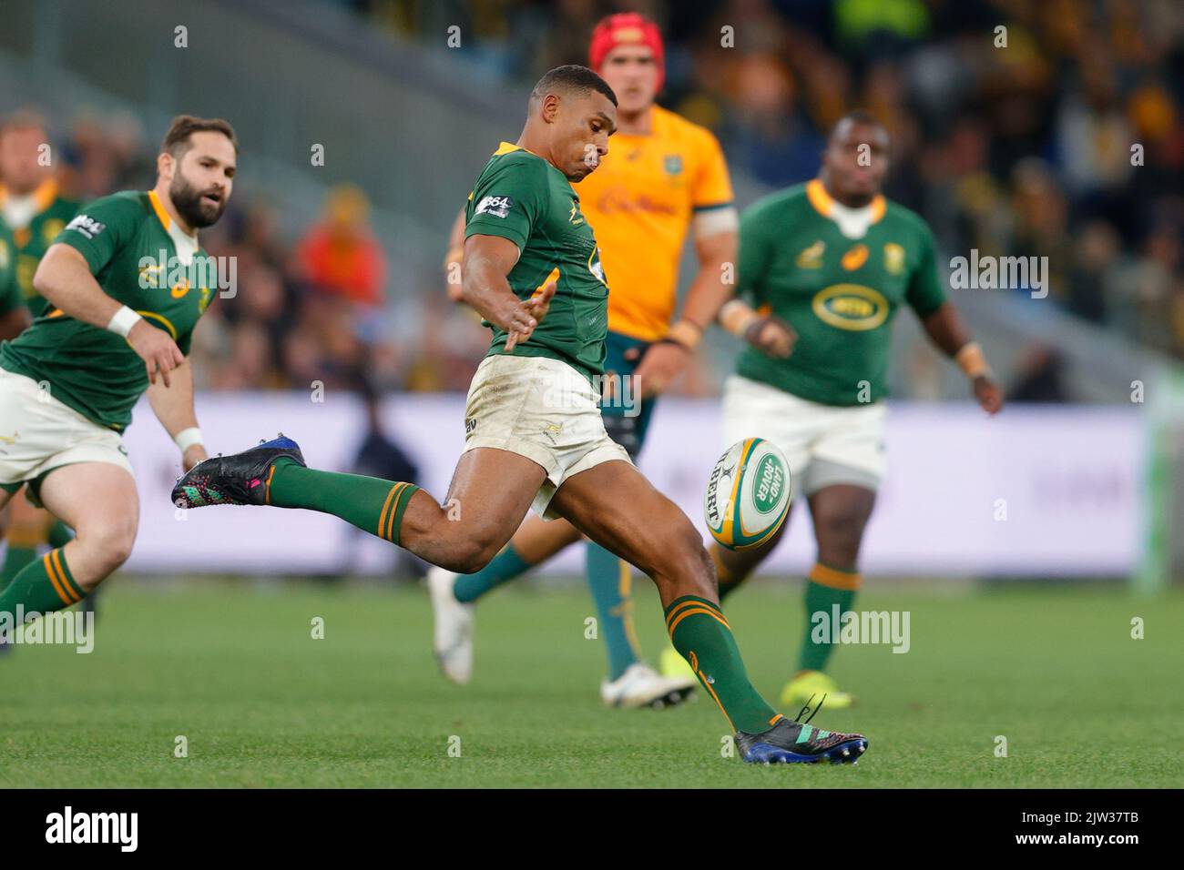 Damian willemse springboks hi-res stock photography and images - Alamy